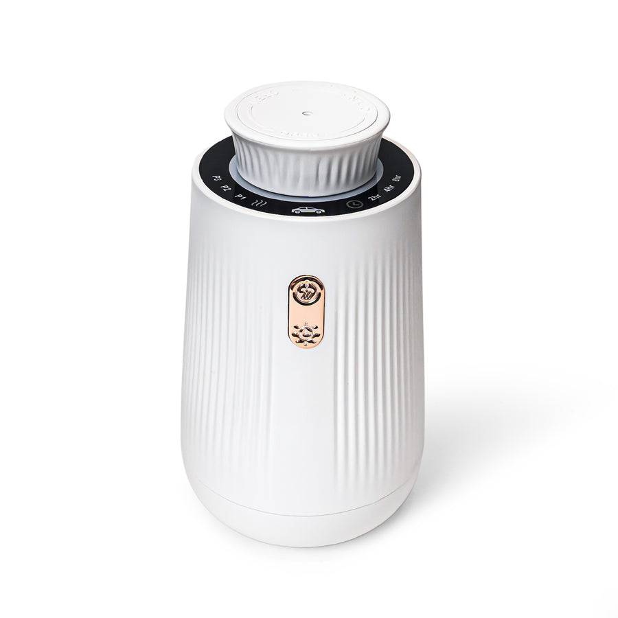 Premium Aroma Diffuser Oil | Aroma Essentials Diffuser | SCENT DÉCOR ...